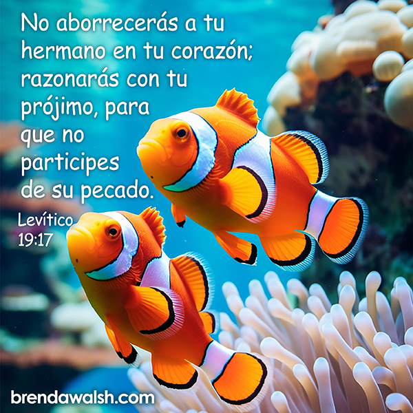 Lev tico 19 17 Brenda Walsh Scripture Images Lev tico 19 17 Brenda Walsh Scripture Images