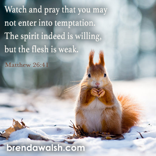Resisting Temptation - Brenda Walsh Scripture Images