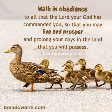 Live the Commandments - Brenda Walsh Scripture Images