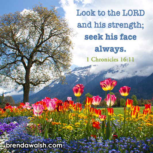 Brenda Walsh Scripture Images - Inspirational Scripture pictures to ...