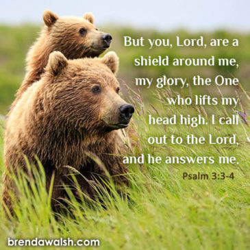 Hold Your Head High - Brenda Walsh Scripture Images