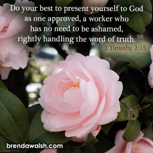 A Pure Christian - Brenda Walsh Scripture Images