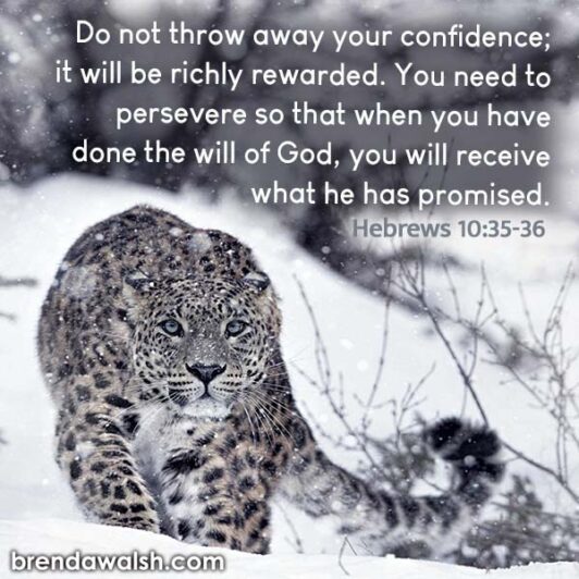 Persevere with Confidence - Brenda Walsh Scripture Images