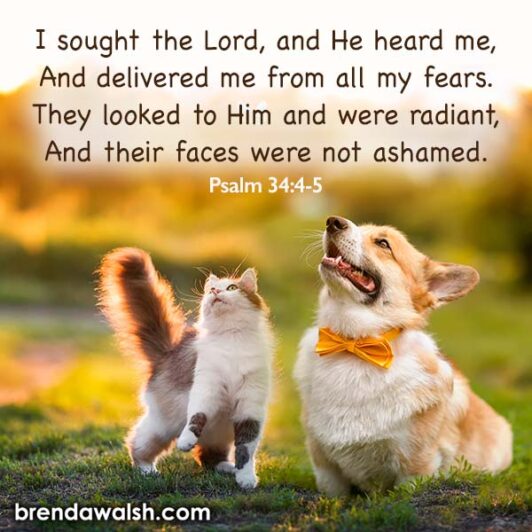 Always Rich - Brenda Walsh Scripture Images