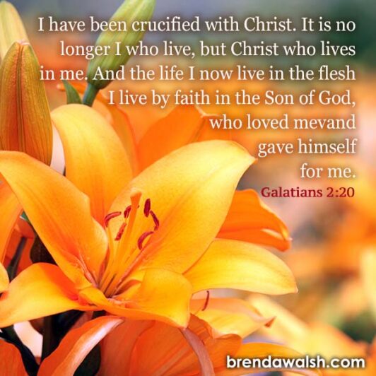 Christ in Me - Brenda Walsh Scripture Images