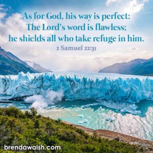 Perfect & Flawless - Brenda Walsh Scripture Images