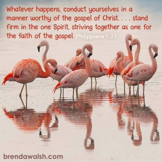 The Gospel - Brenda Walsh Scripture Images