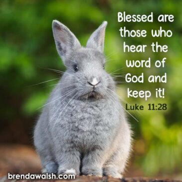 Blessed Word - Brenda Walsh Scripture Images