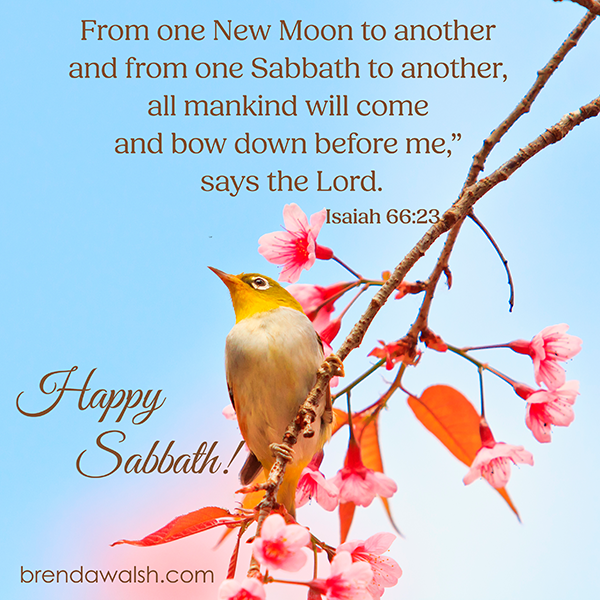 Happy Sabbath Brenda Walsh Scripture Images Happy Sabbath Brenda Walsh Scripture Images