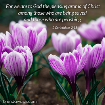 Aroma of Christ - Brenda Walsh Scripture Images