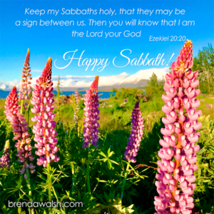 Happy Sabbath - Brenda Walsh Scripture Images