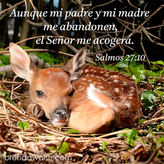 Salmos 27:10 - Brenda Walsh Scripture Images