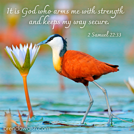 Armed with God - Brenda Walsh Scripture Images