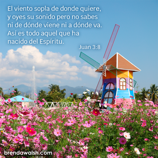 Juan 3:8 - Brenda Walsh Scripture Images