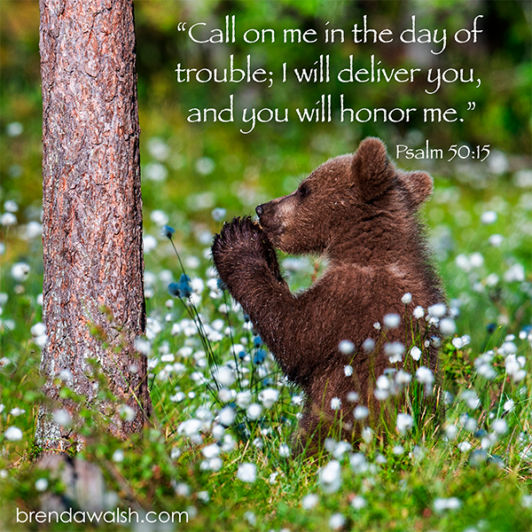 Rescue Call - Brenda Walsh Scripture Images