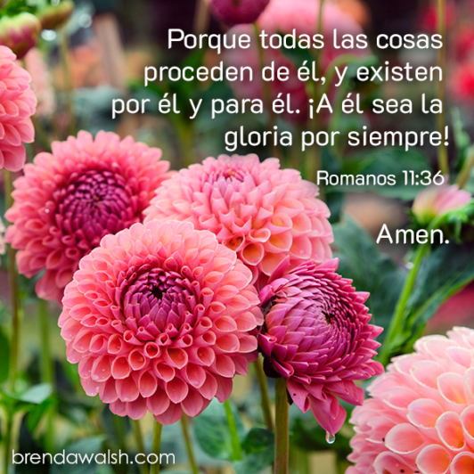 Romanos 11:36 - Brenda Walsh Scripture Images