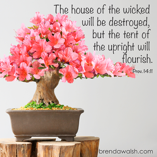 Homebased Righteousness - Brenda Walsh Scripture Images