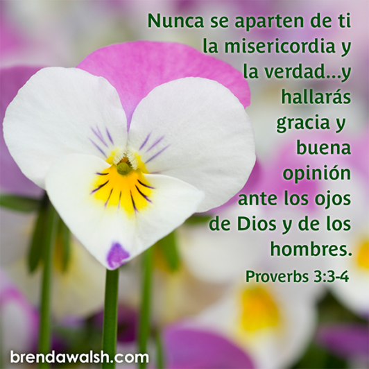 Proverbios 3:3-4 - Brenda Walsh Scripture Images