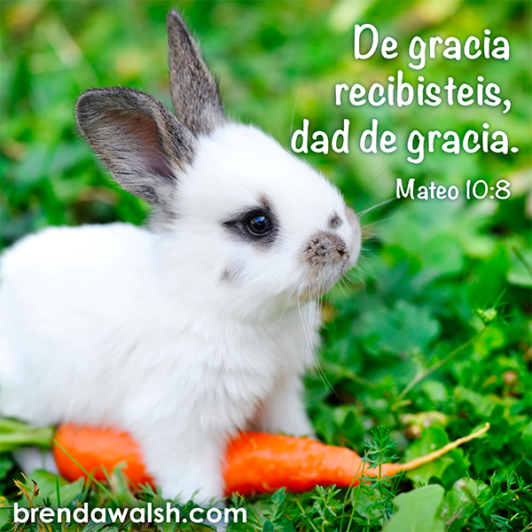 Mateo 10:8 - Brenda Walsh Scripture Images