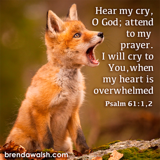 Desperate Prayers Brenda Walsh Scripture Images desperate-prayers-brenda-walsh-scripture-images