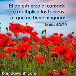 Isaias 40:29 - Brenda Walsh Scripture Images