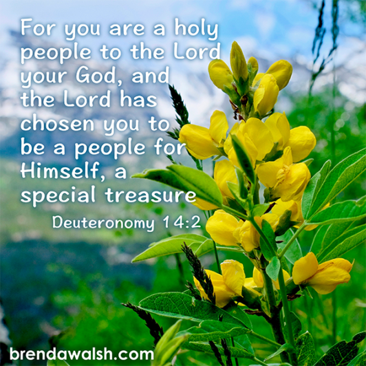 Holy People - Brenda Walsh Scripture Images