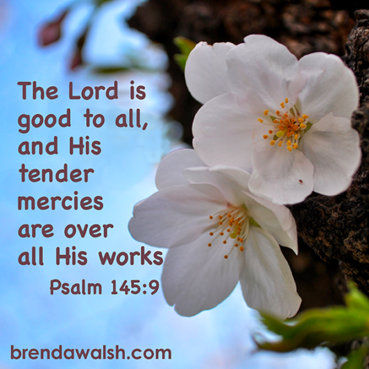 Definition of Goodness - Brenda Walsh Scripture Images
