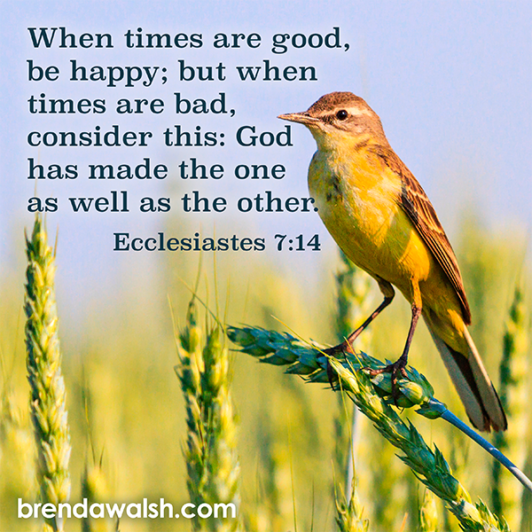 Exercise Faith - Brenda Walsh Scripture Images