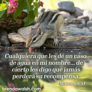 Marcos 9:41 - Brenda Walsh Scripture Images
