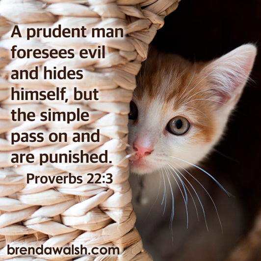 Be Vigilant - Brenda Walsh Scripture Images