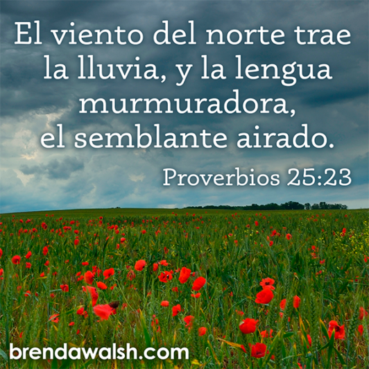 Proverbios 25:23 - Brenda Walsh Scripture Images