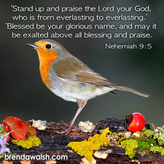 Act of Worship - Brenda Walsh Scripture Images