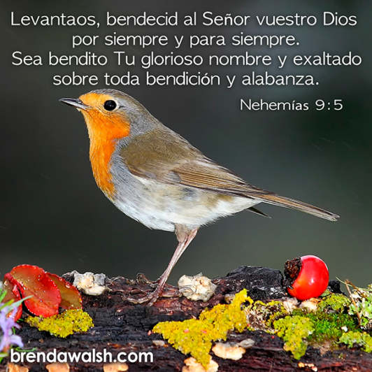 Nehemías 9:5 - Brenda Walsh Scripture Images