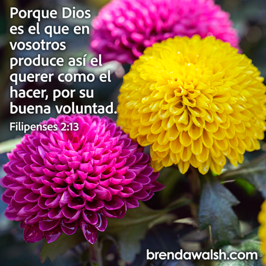 Filipenses 2:13 - Brenda Walsh Scripture Images