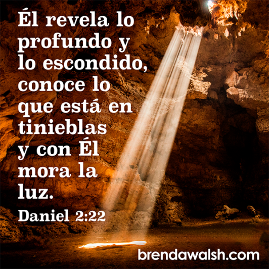 Daniel 2:22 - Brenda Walsh Scripture Images