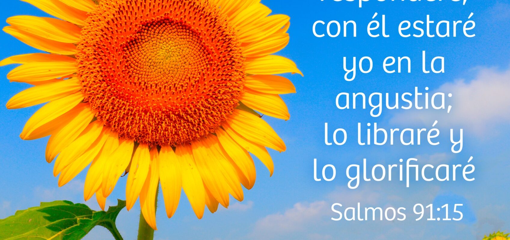 Salmos 91:15 - Brenda Walsh Scripture Images