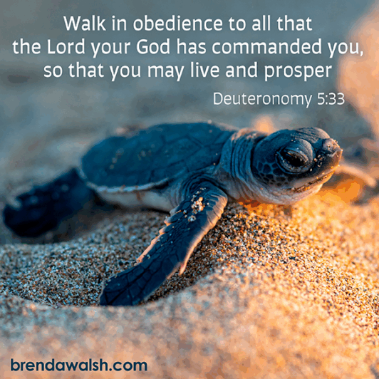 Brenda Walsh Scripture Images - Inspirational Scripture pictures to ...