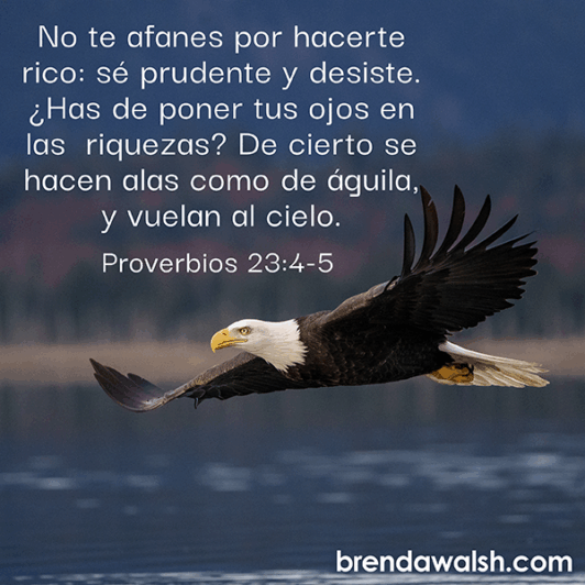 Proverbios 23:4-5 - Brenda Walsh Scripture Images