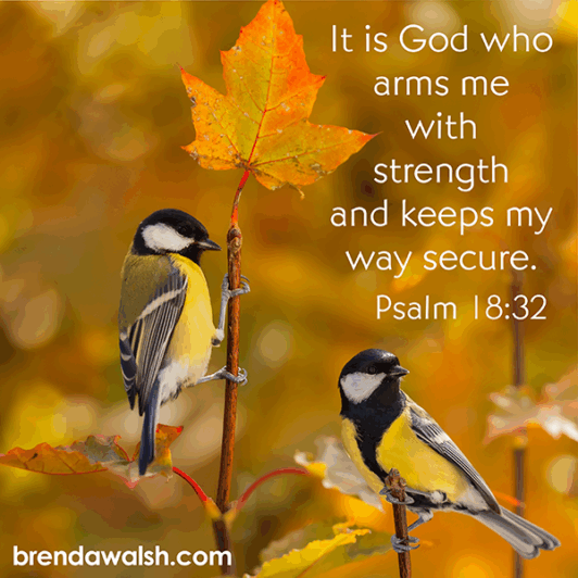 Preparing for Success - Brenda Walsh Scripture Images