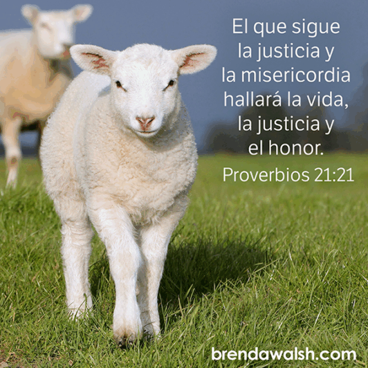 Proverbios 21:21 - Brenda Walsh Scripture Images