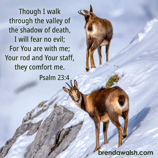 The Shepherd's Presence - Brenda Walsh Scripture Images